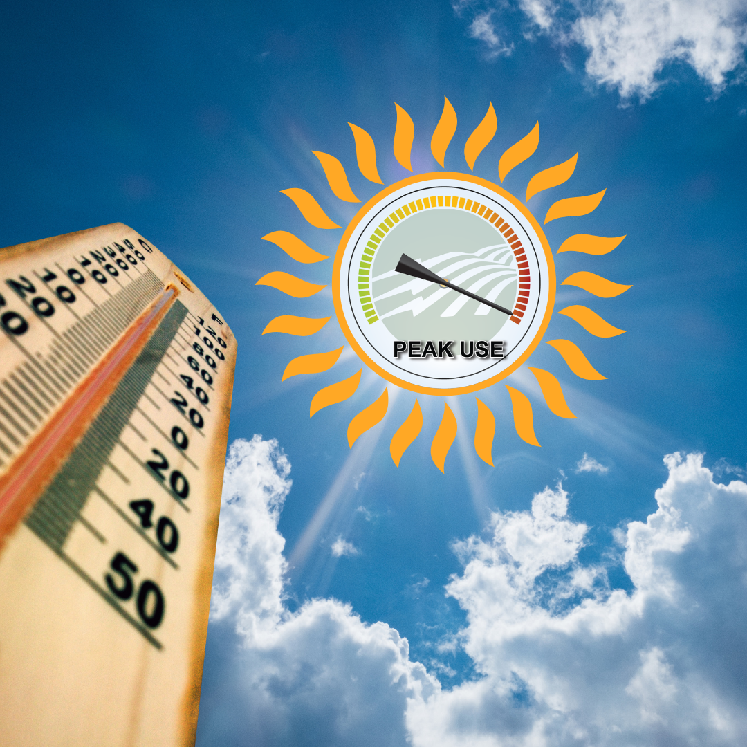 Peak Energy Use - Avoid the Energy Rush | Paulding Putnam Electric ...